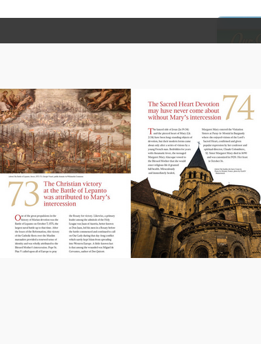 101 Surprising Facts About Mary book not booklet